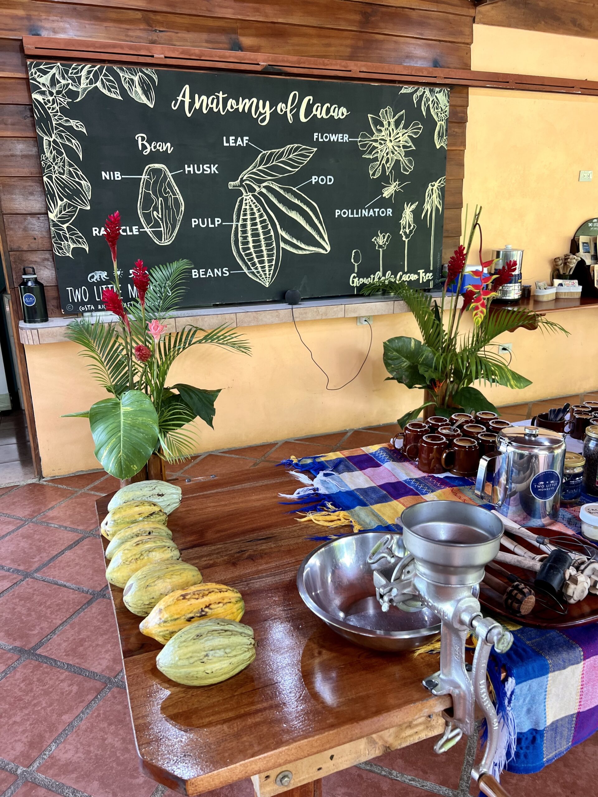 The Ultimate Chocolate Making Class in Costa Rica - Exploren Lauren